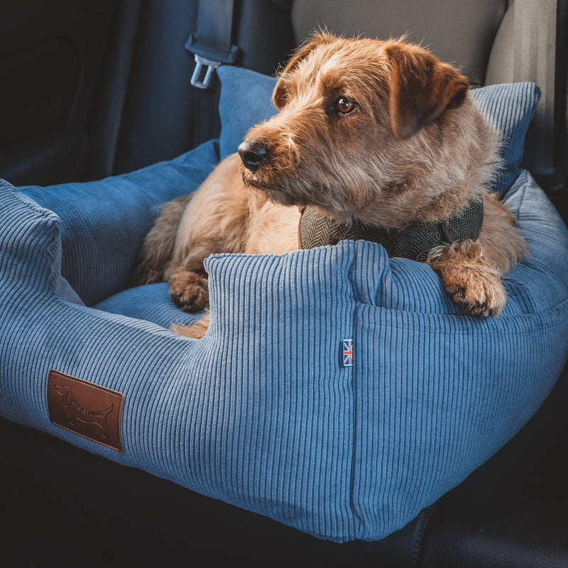 Car Seat Size Guide